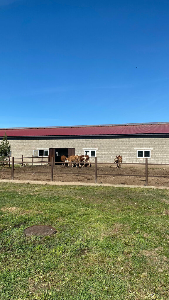 Tarım firmaları Ферма Фого, Tverskaya oblastı, foto