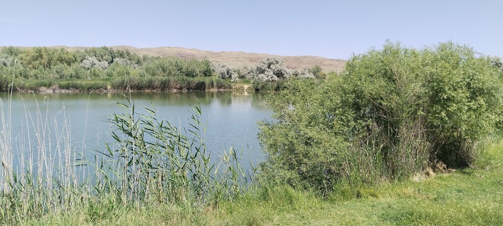 Balık çiftçiliği ve toptancıları Balyk Taldykorgan, Zhetysu ili, foto