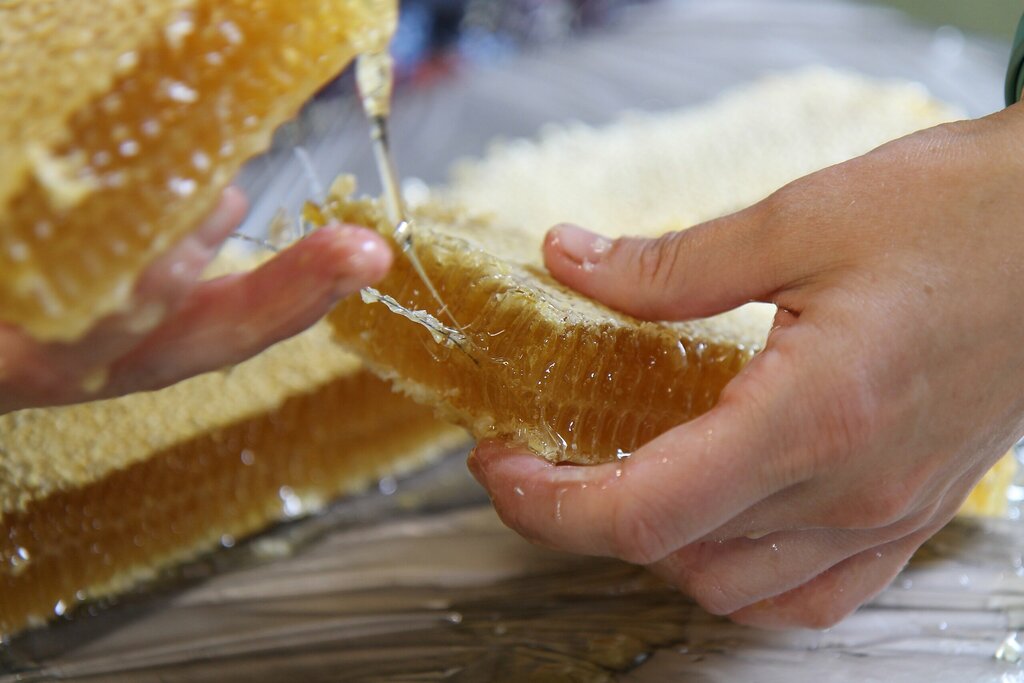 Bal ve arıcılık firmaları Пасека Пермяковых, Permski krayı, foto