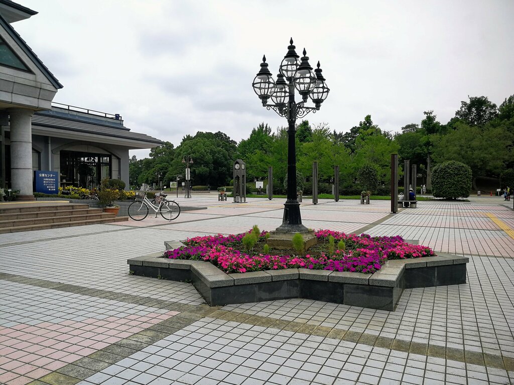 Kültür ve eğlence parkları 柏の葉公園, , foto