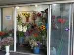 Магазин цветов (Kievyan Street No:32), çiçekçiler  Erivan'dan