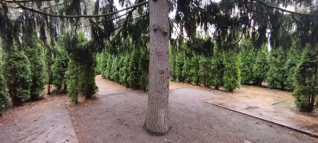 Park, sokak heykeli Якоря, Moskova, foto