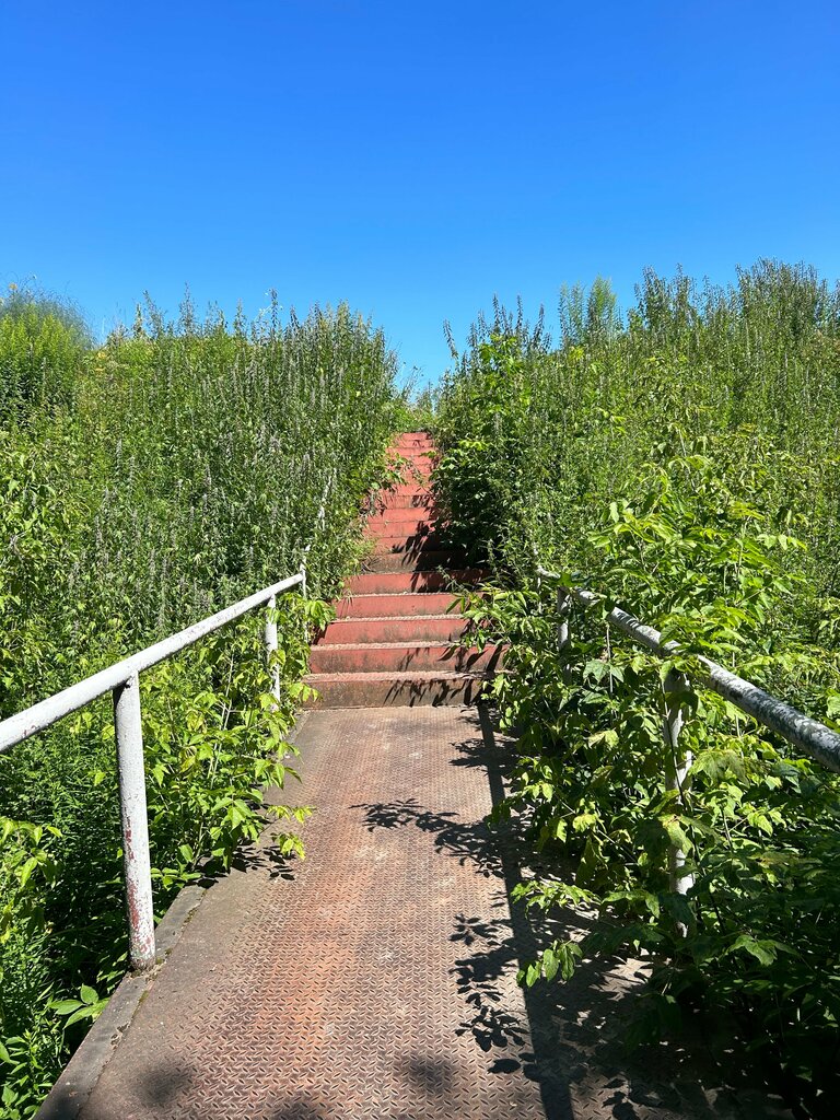 Seyir terası Смотровая площадка, Briansk, foto