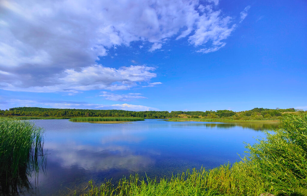 Orman Корёк, Riazanskaya oblastı, foto