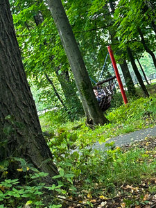 Гамак (Moscow, Ostankino Park), atraksiyon  Moskova'dan