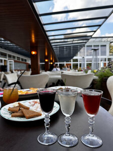 Davinci Restaurant (Leningrad Region, Priozerskiy District, Razdolyevskoye selskoye poseleniye, derevnya Borisovo, khutor Yakovlevo), restoran  Saint‑Petersburg ve Leningradskaya oblastından