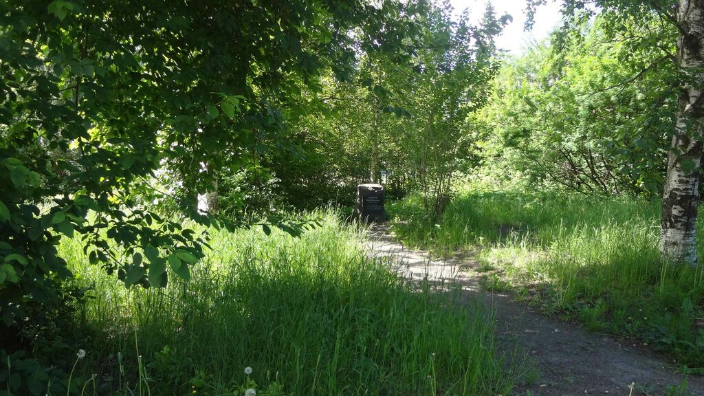 Anıt, heykel Иван Петров, Petrozavodsk, foto