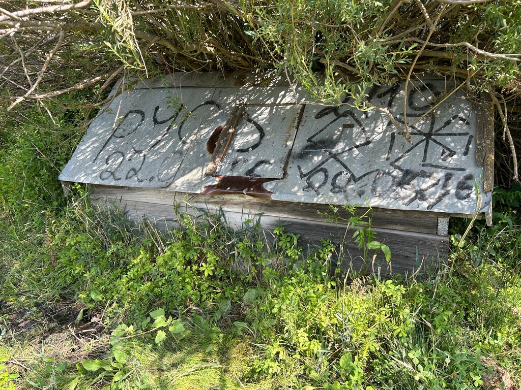 Pınar, çay Родник Таратинский, Kalmukya, foto