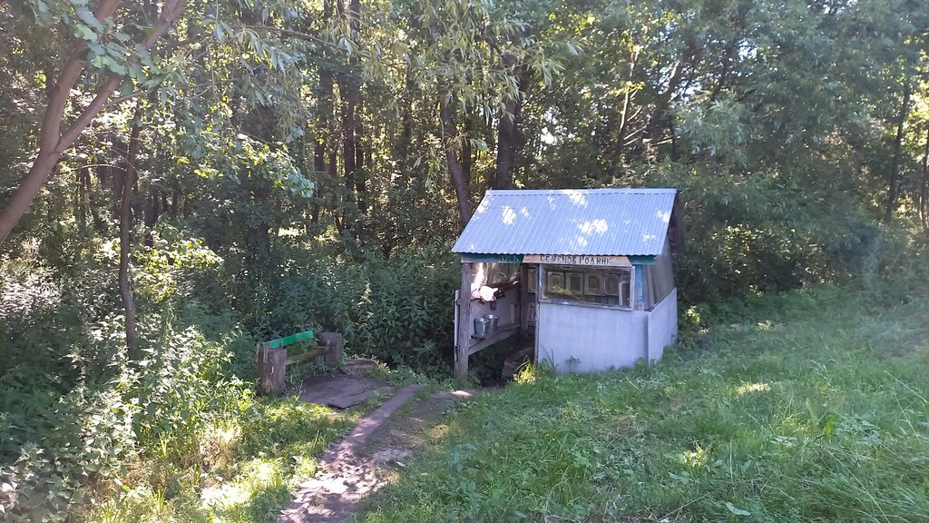 Pınar, çay Семёнов родник, Penzenskaya oblastı, foto
