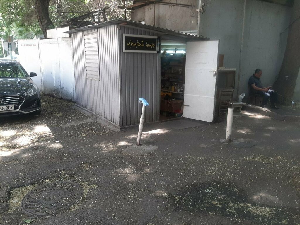 Beyaz eşya servisleri Ремонт бытовой техники, Erivan, foto