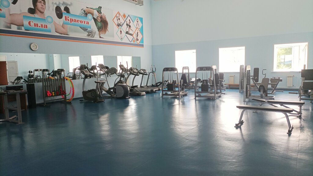 Çok amaçlı spor tesisleri Stroitel Sports Complex, Novoulyanovsk, foto