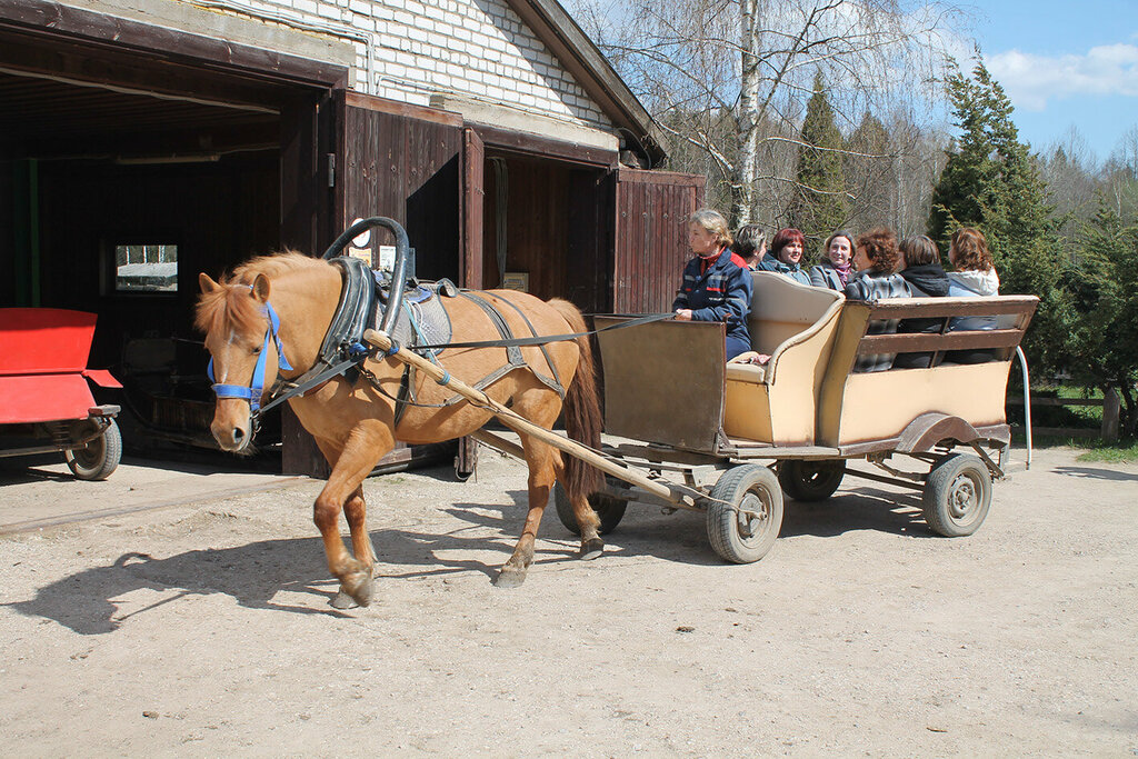 Turistik yerler Конюшня, Minskaya oblastı, foto