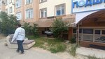 Cosmos cinema (No:8, 3-shi shaǵyn aýdan), antikafe  Aktav'dan