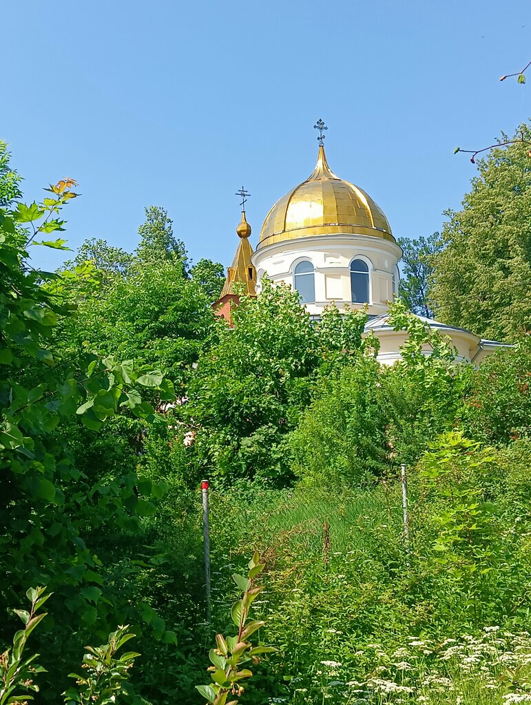 Kültür ve eğlence parkları парк усадьбы Орлино, Saint‑Petersburg ve Leningradskaya oblastı, foto
