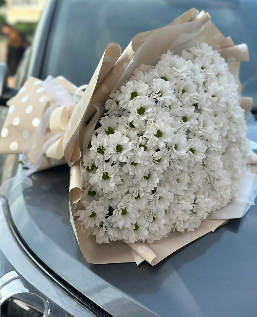 Çiçekçiler Flowers__73, Ulyanovskaya oblastı, foto