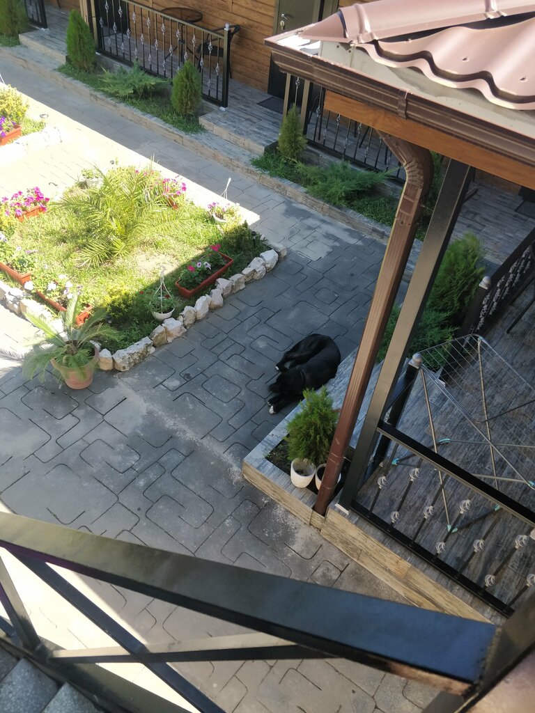 Otel Fortius, Sukhumi Bölgesi, foto