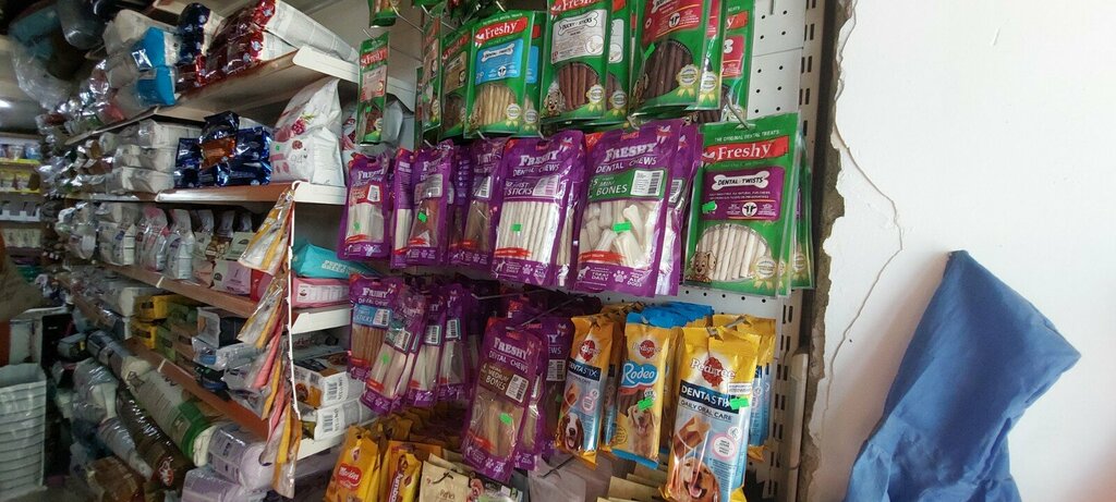 Petshop Demı̇r Petshop, İstanbul, foto