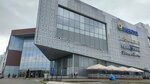 The Cute Bears (Moscow, Novomoskovskiy Administrative Okrug, Scherbinka District, Chechyorsky Drive, 51), oyun makinesi  Moskova'dan