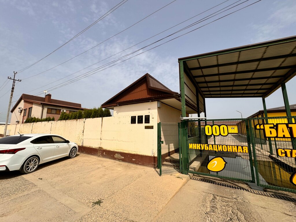 Kanatlı hayvan ürünleri ve yumurta Батыр, Dağıstan, foto