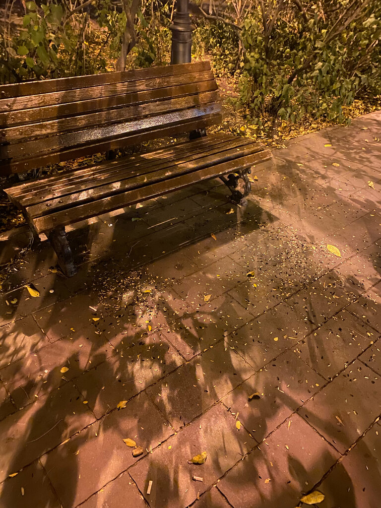 Kültür ve eğlence parkları Сквер Рудольфа Абеля, Samara, foto