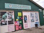 Свита (ulitsa Demyana Bednogo No:92), market  Omsk'tan
