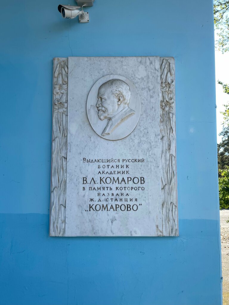 Anıt levhası, anıt taş Академик В.Л. Комаров, Saint‑Petersburg, foto