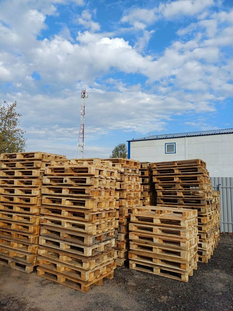 Paletler Приём поддонов, Puşkino, foto