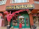 Rio Çiçekçilik (Konya, Selçuklu, Nişantaş Mah., Çimenzar Sok., 5E), çiçekçiler  Konya'dan
