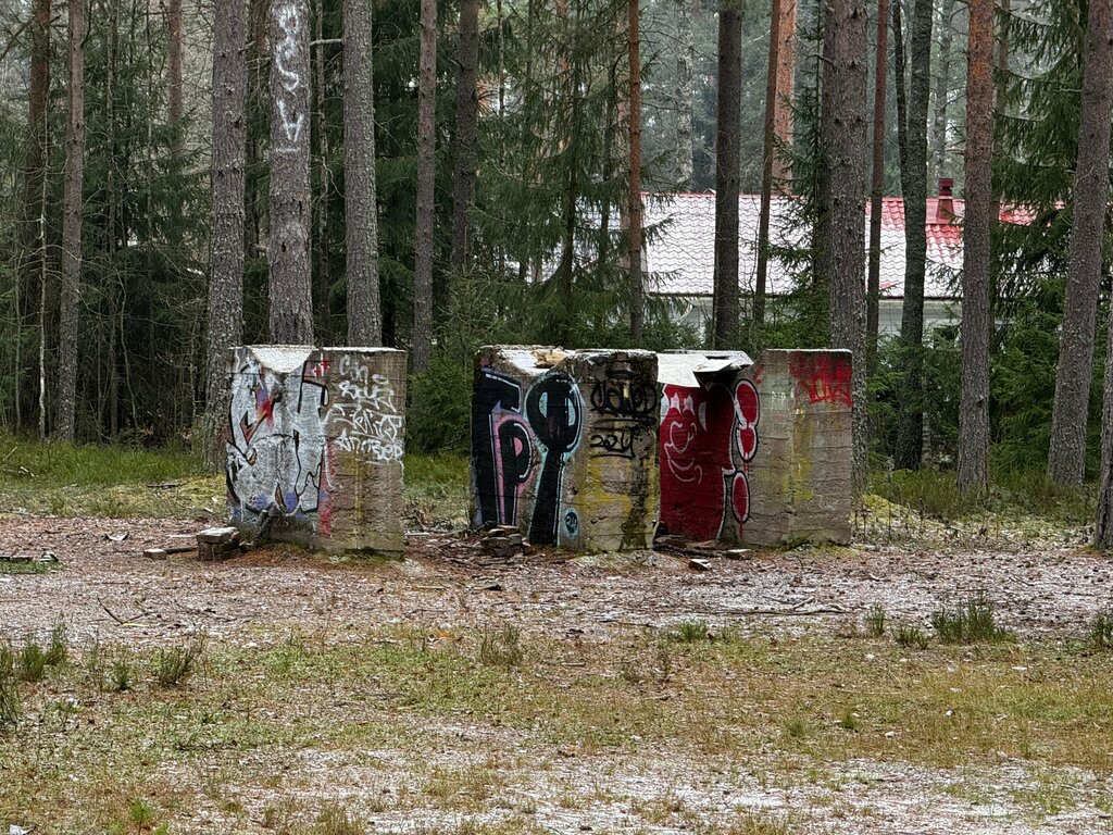 Unutulmaz olayların yeri Руины противопожарной бочки советских времён, Saint‑Petersburg ve Leningradskaya oblastı, foto