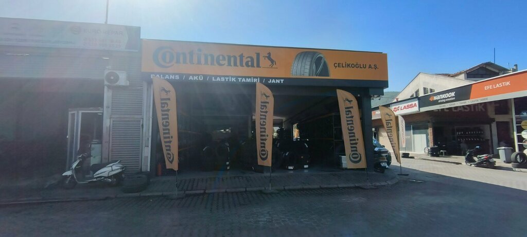 Jant ve lastikçiler Çelikoğlu Lojistik, Fethiye, foto
