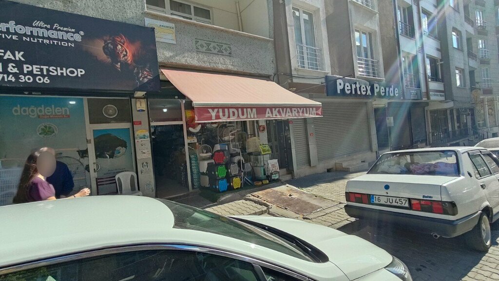 Petshop Yudum Akvaryum Esenyurt, İstanbul, foto