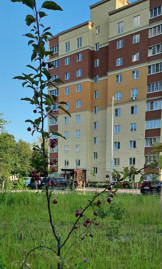 Kültür ve eğlence parkları Карманный парк, İvanovo, foto