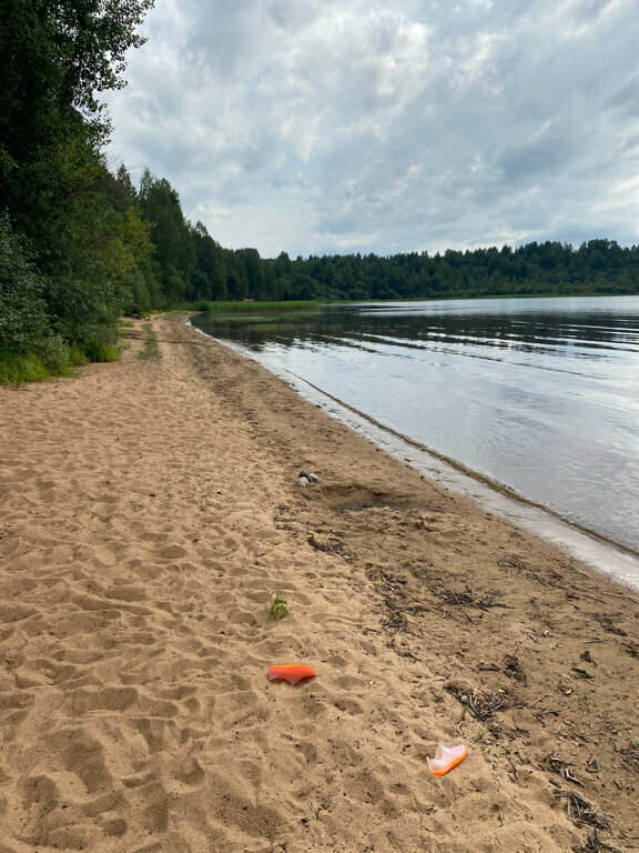 Plaj Пляж, Saint‑Petersburg ve Leningradskaya oblastı, foto