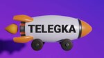 Telegka (Severnoye Highway No:42), müşteri memnuniyeti  Ramenskoye'den