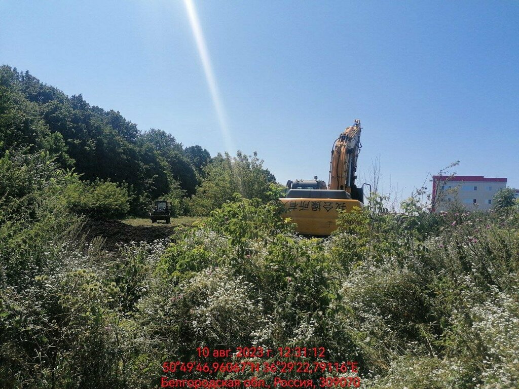 Orman урочище Смородина, Belgorodskaya oblastı, foto