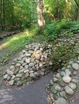 Spring, stream (St. Petersburg, Krasnoye Selo, Nagorny park), pınar, çay  Krasnoye Selo'dan