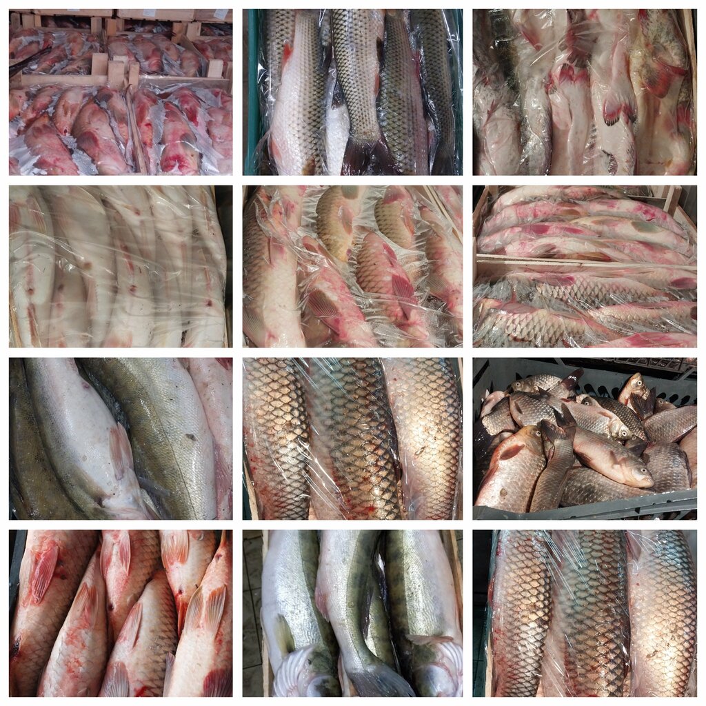 Balık ve deniz ürünleri Рыба и морепродукты, Moskova, foto