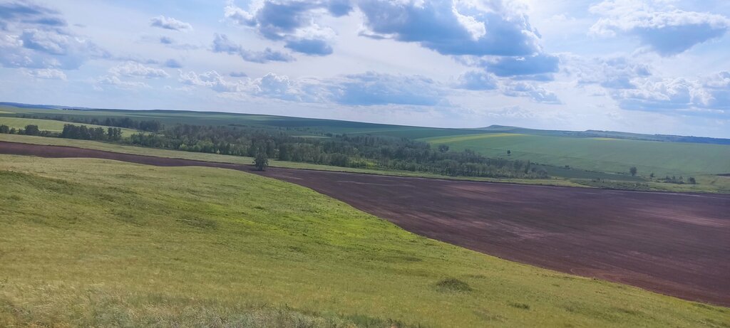 Dağ zirvesi Холм Подшишка, Orenburgskaya oblastı, foto