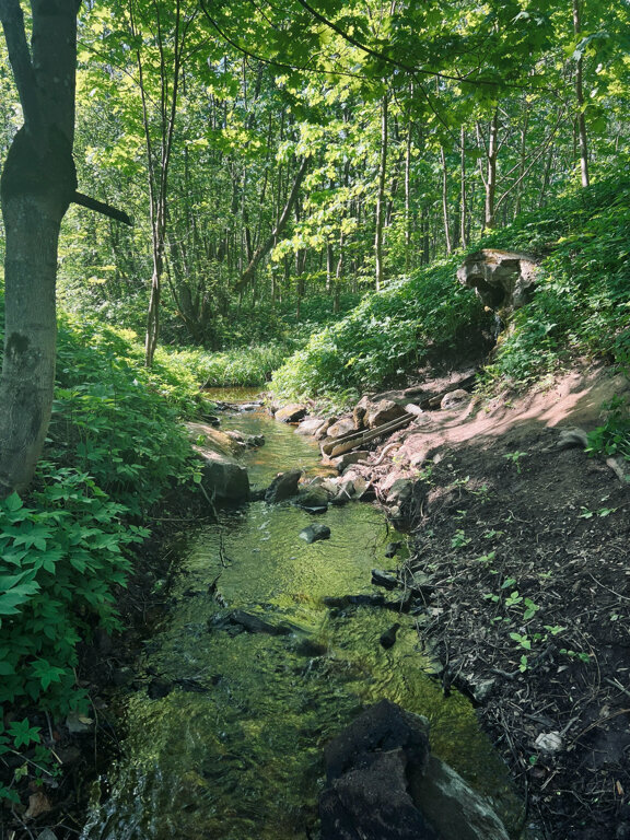 Dağ zirvesi Mount Dzyomgi, Habarovski krayı, foto