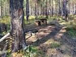 Родник Живое серебро (Irkutsk Region, Ust-Kutskoye munitsipalnoye obrazovaniye), pınar, çay  İrkutskaya oblastından