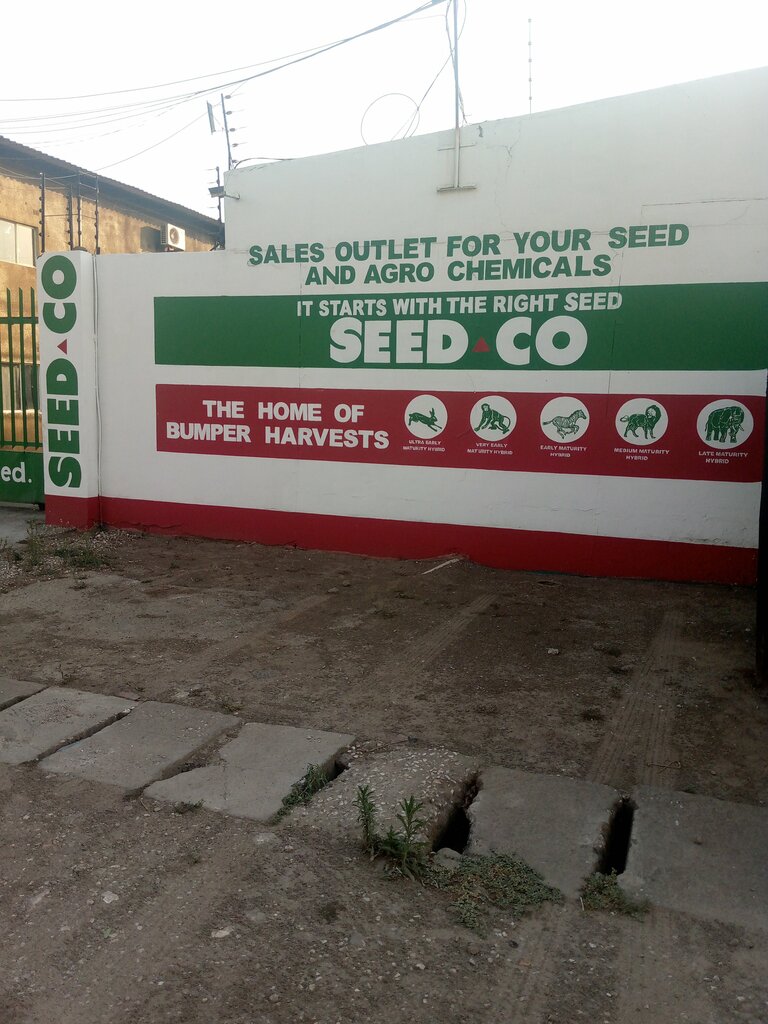 Tohum satan yerler Seed. co, Lusaka, foto