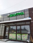 Арабская шаурма (Moskovskoye Highway No:33А), kafe  Dolgoprudny'den