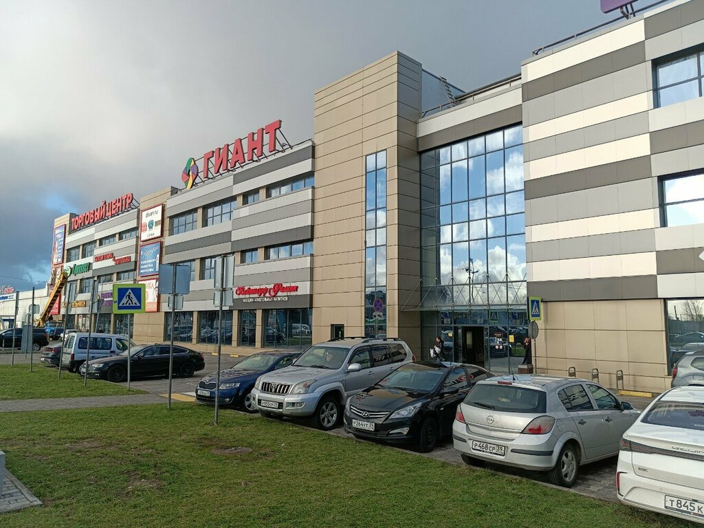 Züccaciye mağazaları Fissman, Kaliningrad, foto