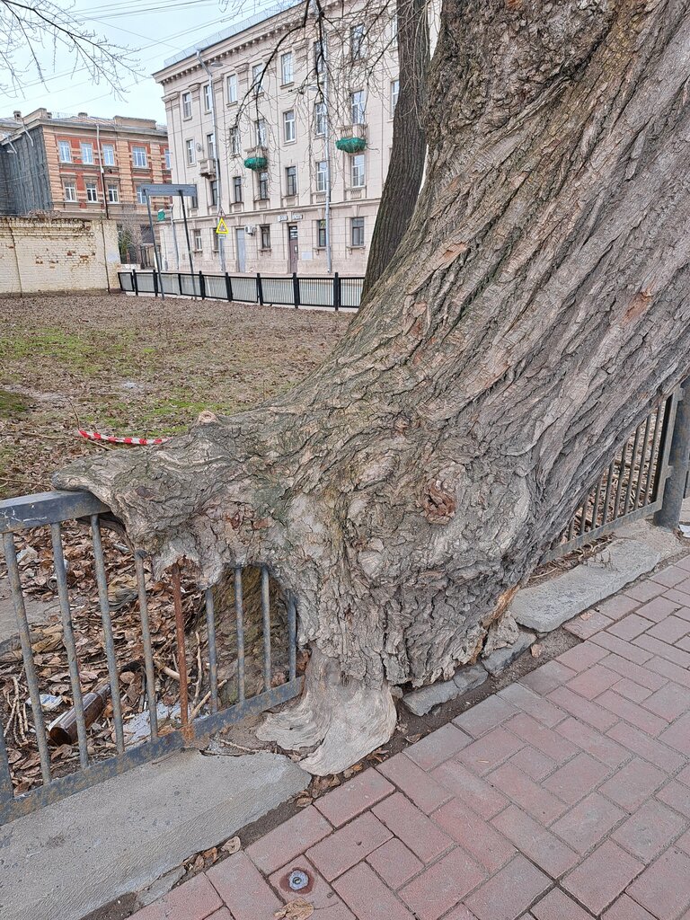 Turistik yerler Казармы лейб-гвардии Измайловского полка, Saint‑Petersburg, foto