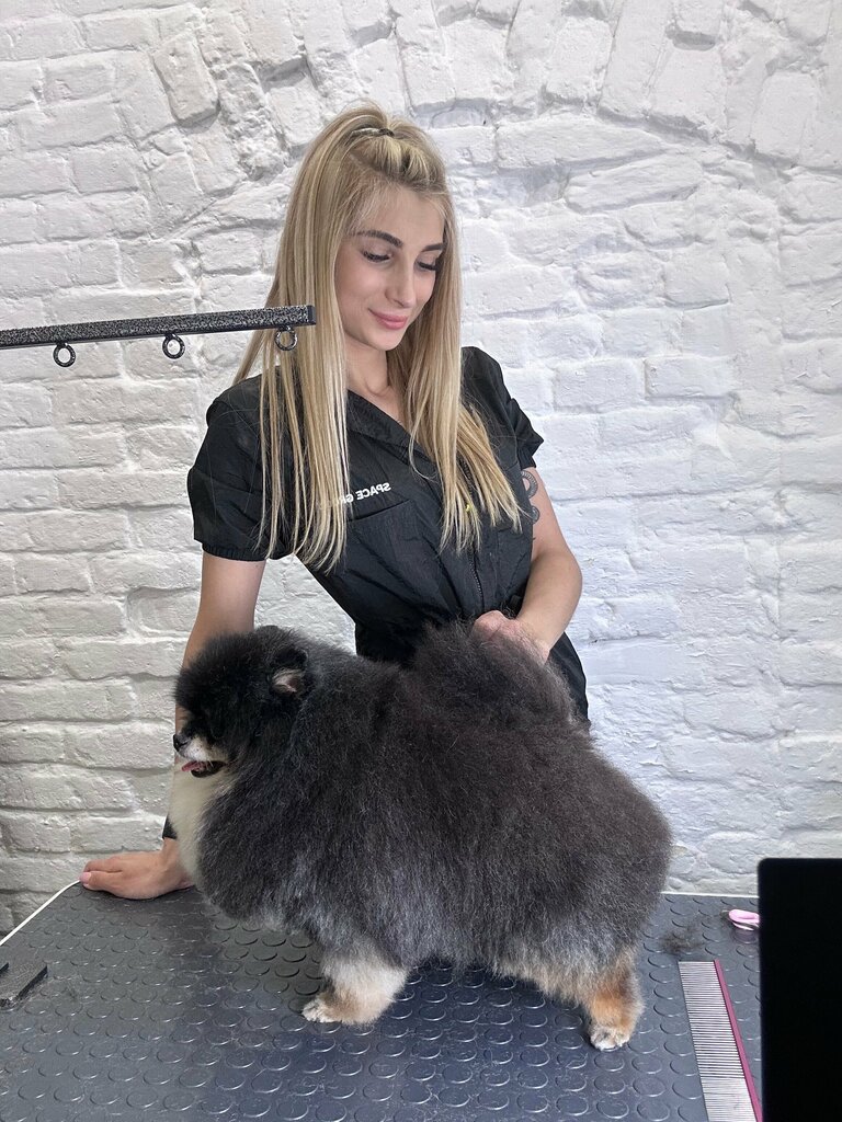 Evcil hayvan kuaförleri Grooming by Larionova, Yaroslavl, foto