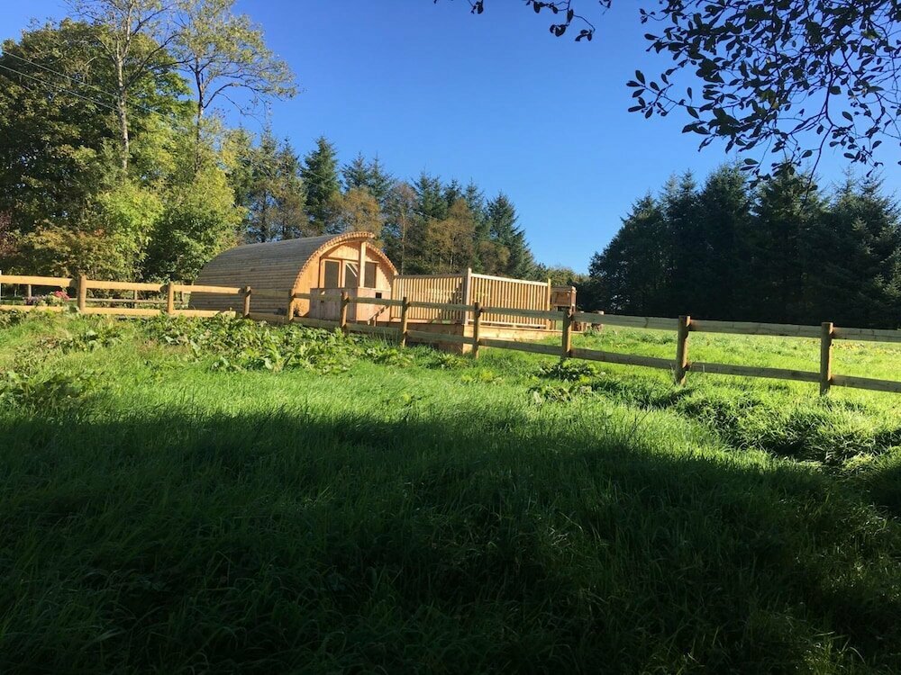 Otel Brynllwyd Glamping, Galler, foto