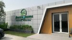 Galaxy World Wide Shipping, Port Rashid branch (74/13, Al Khaleej Street, Dubai), gümrük hizmetleri  Dubai'den