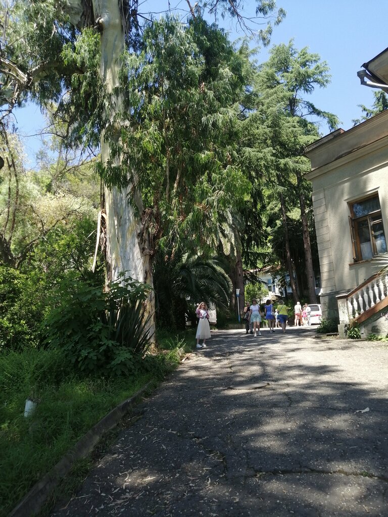 Emlak ofisi Белая дача, New Athos, foto