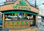 Weeden Cannabis Freedom (Surat Thani, City of Ko Samui, Moo 4, 30/21), tütün, sigara mağazaları  Samui'den