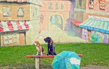 Sokak sanatı Граффити Парижский дворик, Saint‑Petersburg, foto